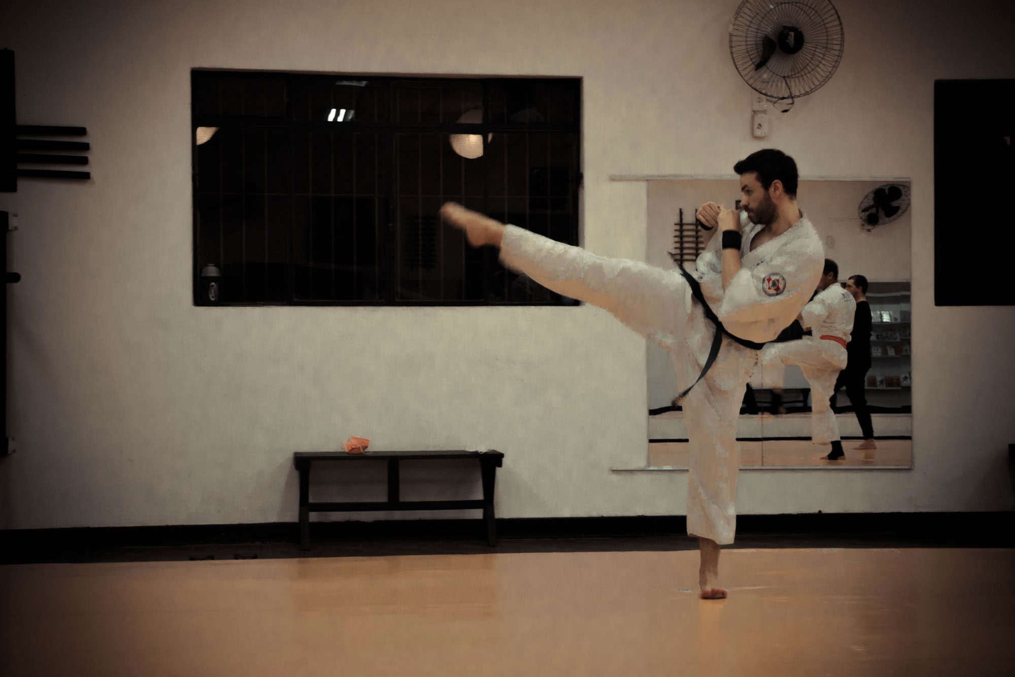 Home - KYOKUSHIN SANTO ANDRÉ